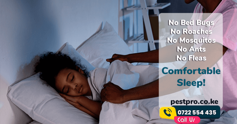 Mbale Pest Control and Fumigation Services 0725548383 - Bestcare Pest ...